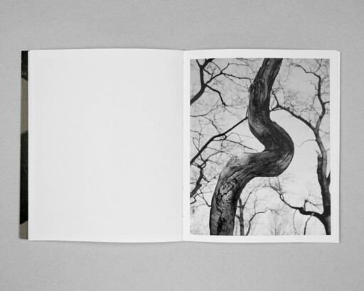 Studio Cristian Ordóñez — Frequency