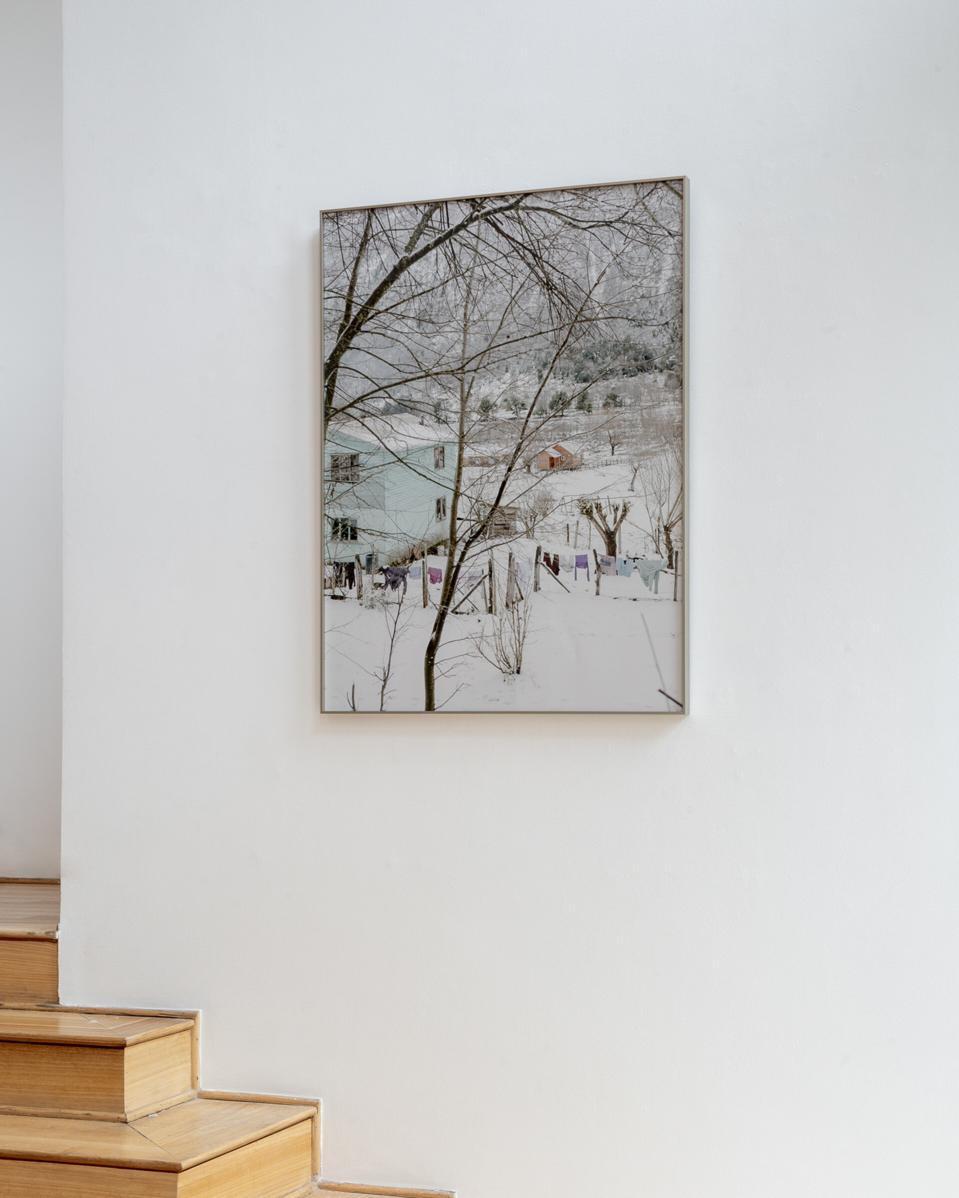 Studio Cristian Ordóñez — Paisaje Común, for Galería Animal